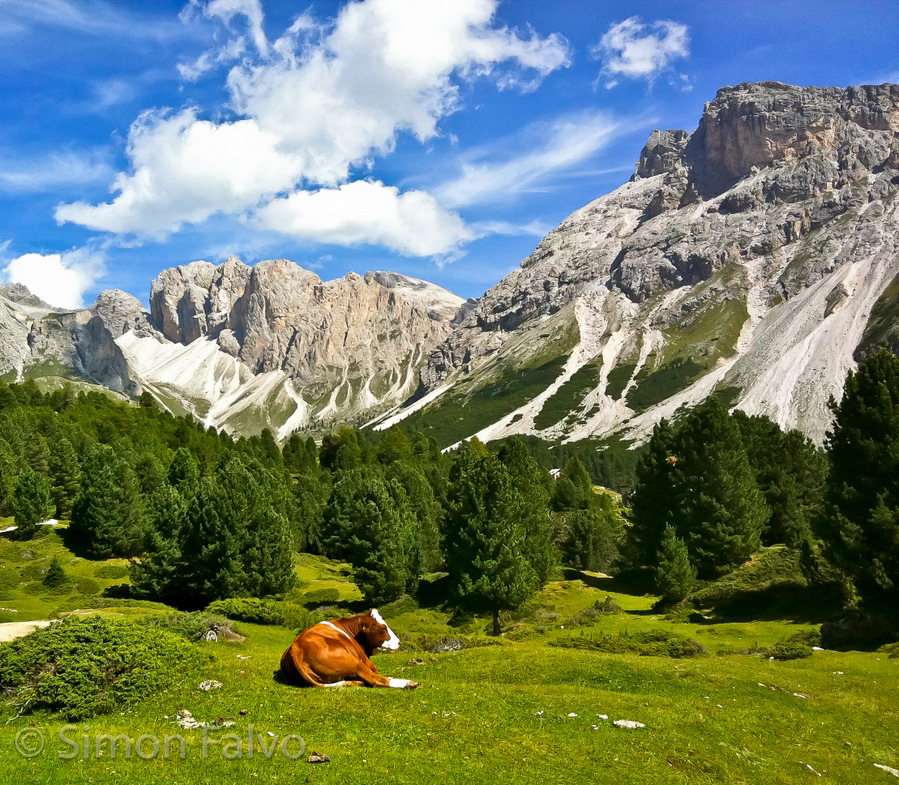 Wild About Travel - Travel Tales by a Travel Addict